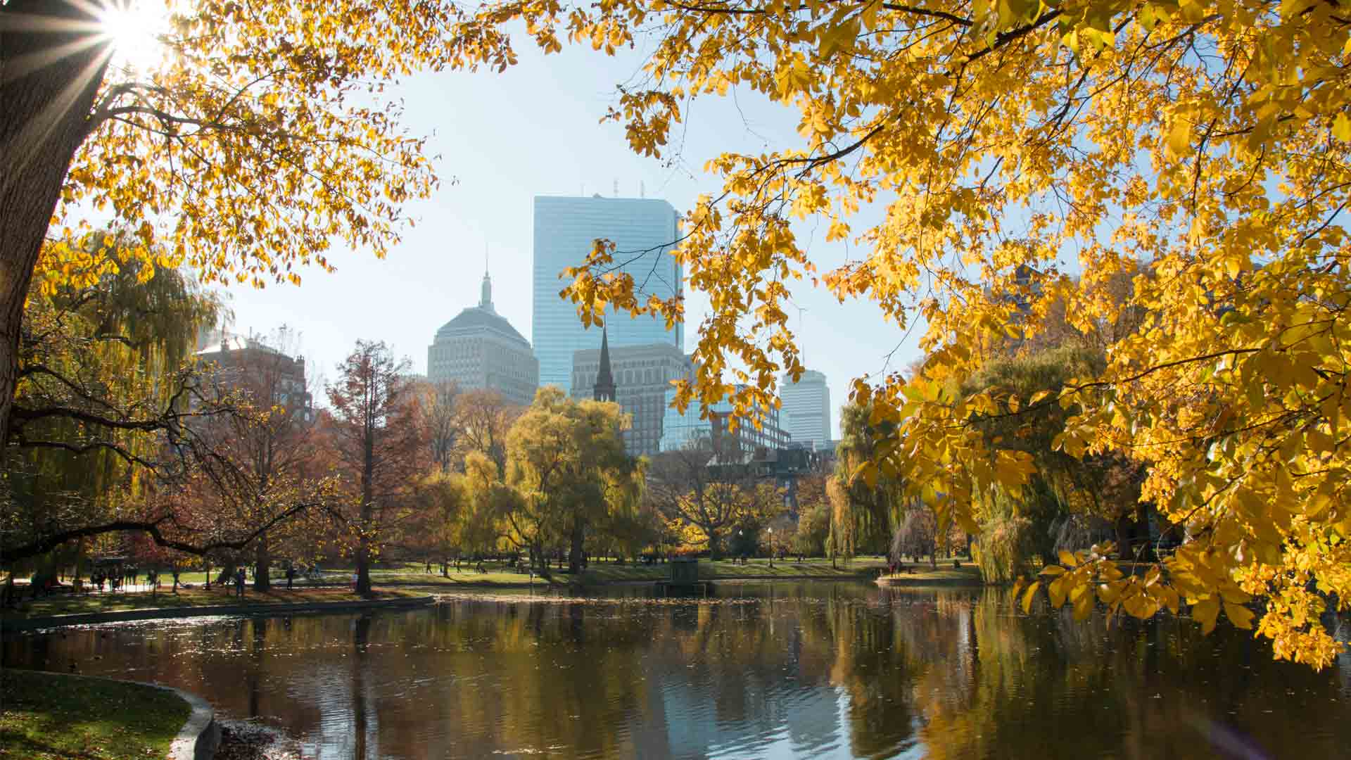 Boston’s First Recreational Cannabis Dispensary | Pure Oasis