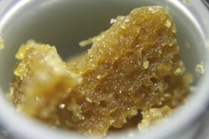 What Are Cannabis Shatter, Oil and Wax Extracts? | Pure Oasis