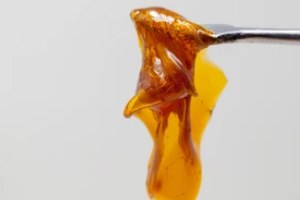 What Is Cannabis Wax? | Pure Oasis