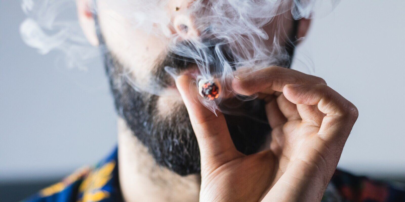 5 Different Types Of Weed Highs & The Best Strains To Achieve Them ...