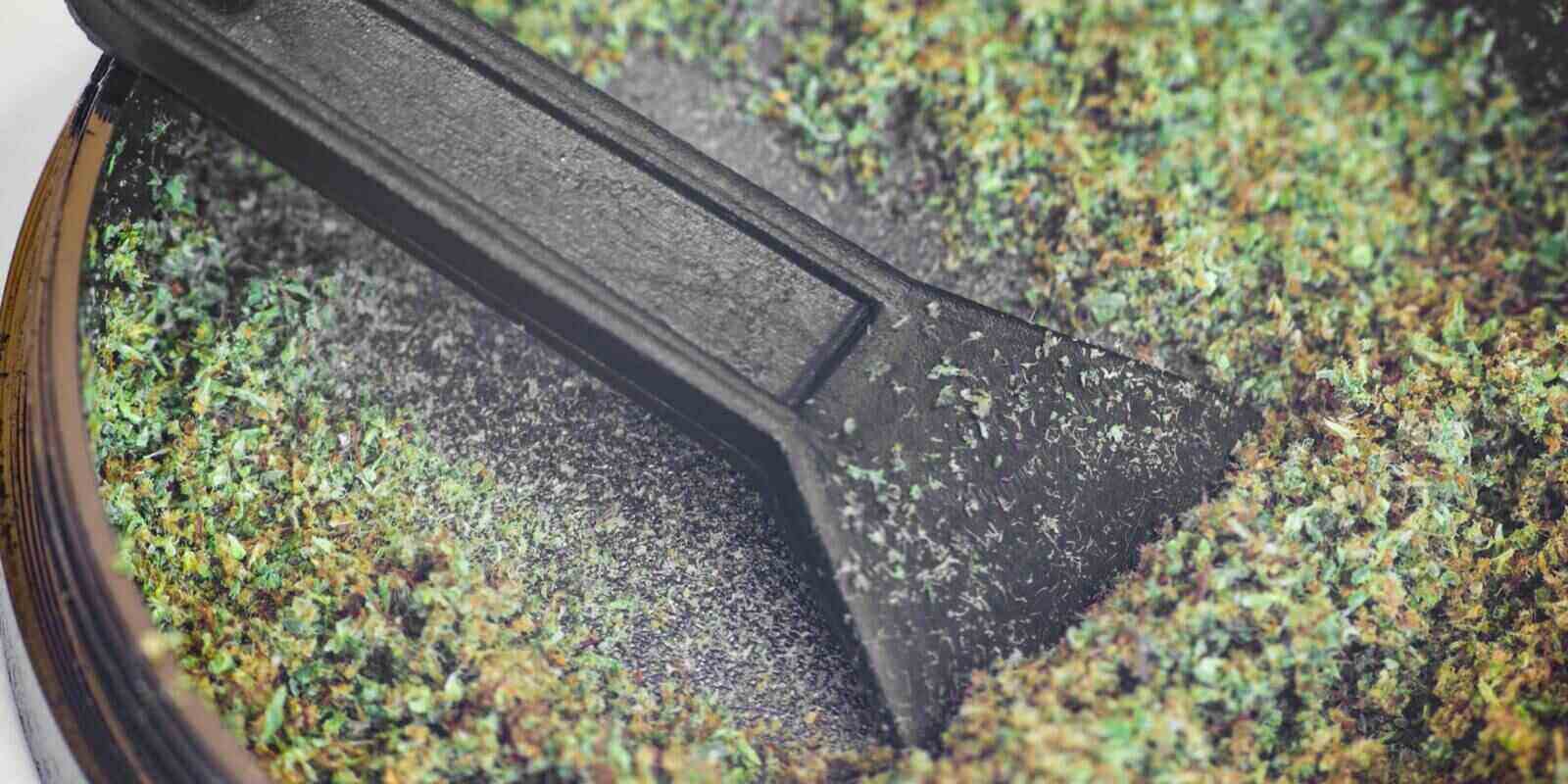 What Is Kief And What Do You Do With It? | Pure Oasis