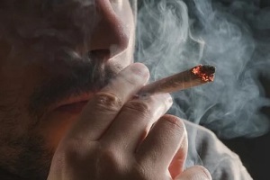 The Difference Between A Weed Joint Vs. Blunt - Pure Oasis